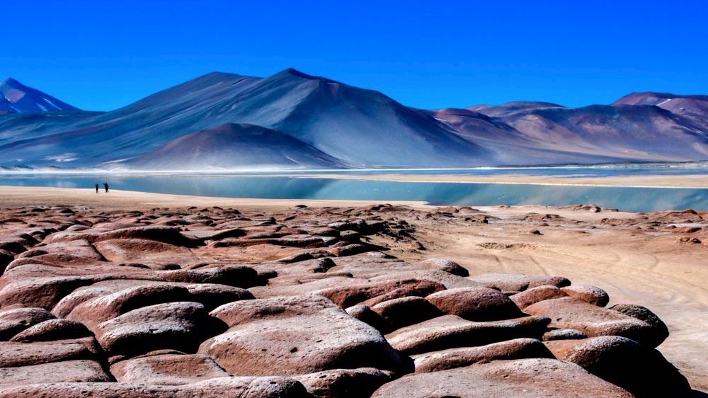Lagunas Altiplanicas e Piedras Rojas: O Melhor Passeio do Atacama