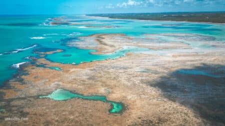 O que fazer em Porto de Pedras: Praia do Patacho e Peixe-Boi