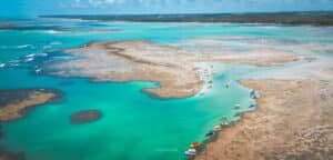 O que fazer em Porto de Pedras: Praia do Patacho e Peixe-Boi